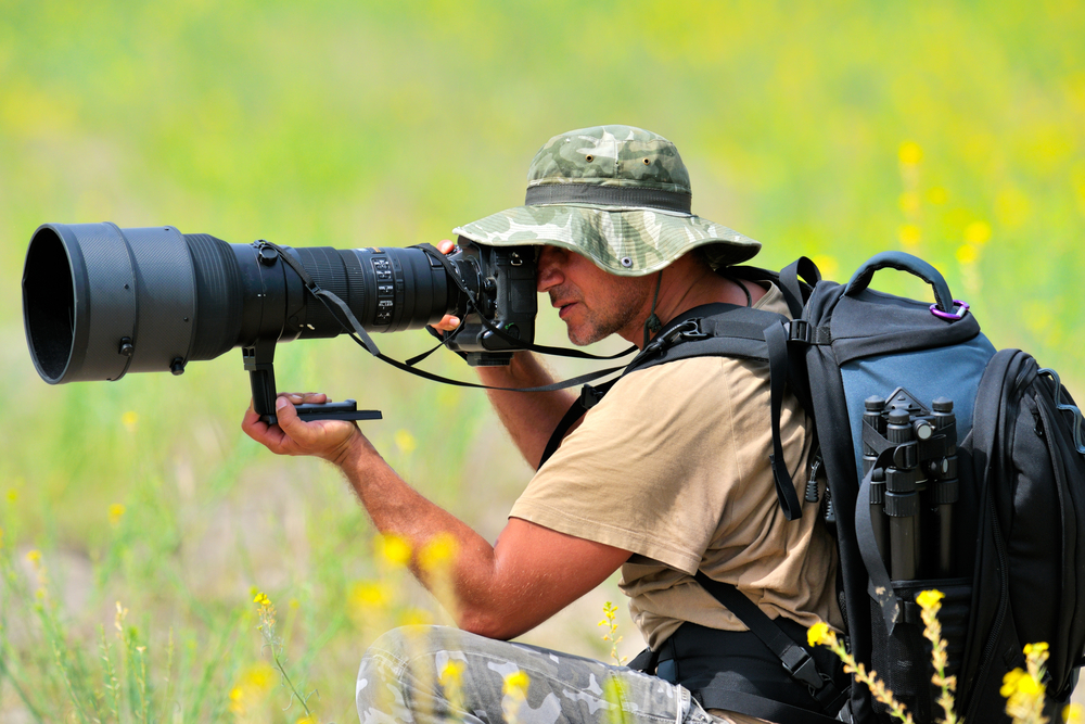 Photo Wild Gear - Best Photography Gear for Wildlife Photographers