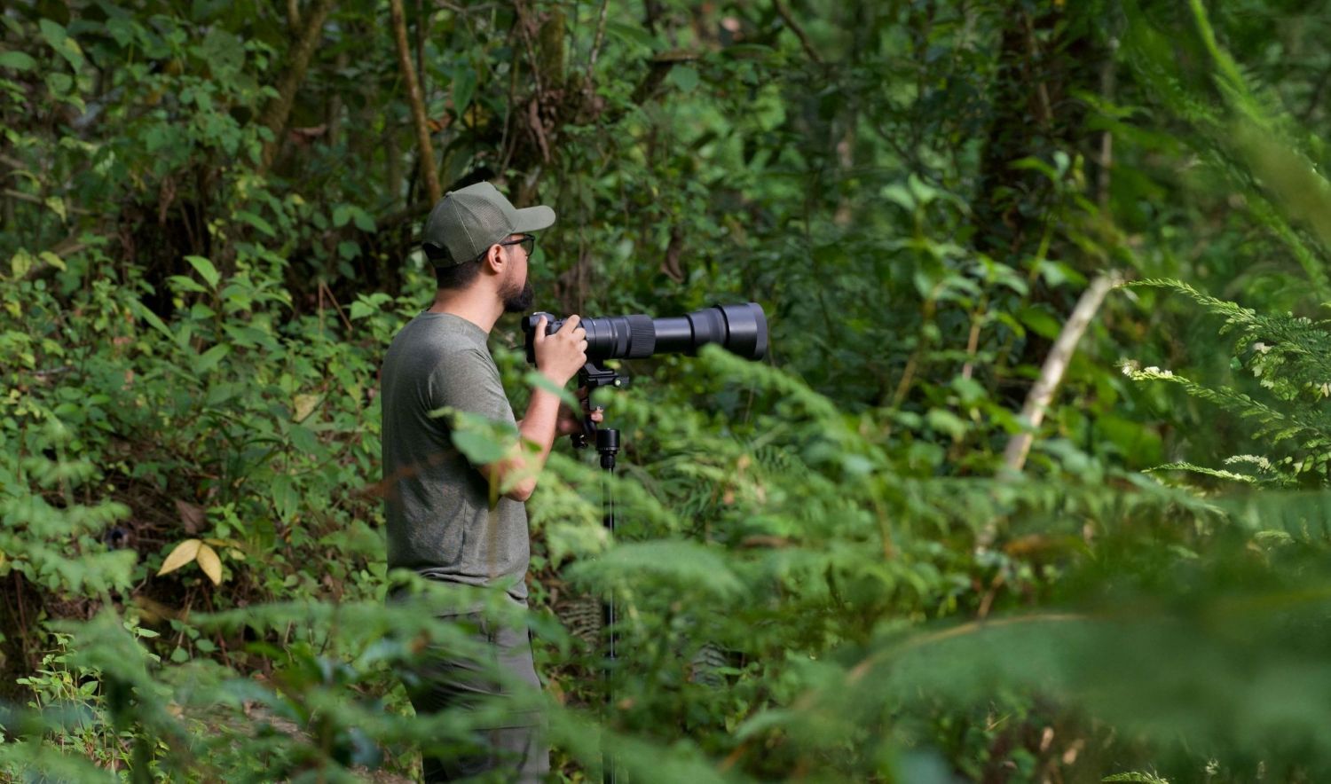 Beyond Tripods: Camera Support Systems for Wildlife Photography ...